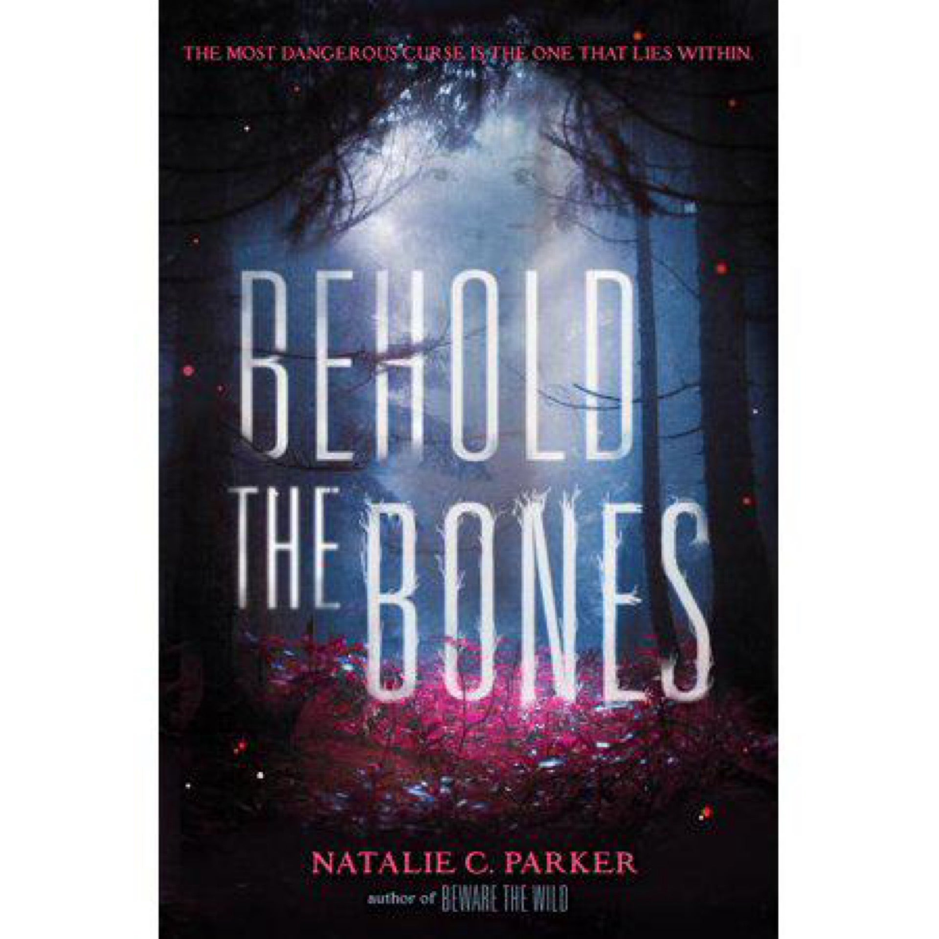 Beware The Wild: Behold the Bones (Hardcover) | Bound Pages Bookshop